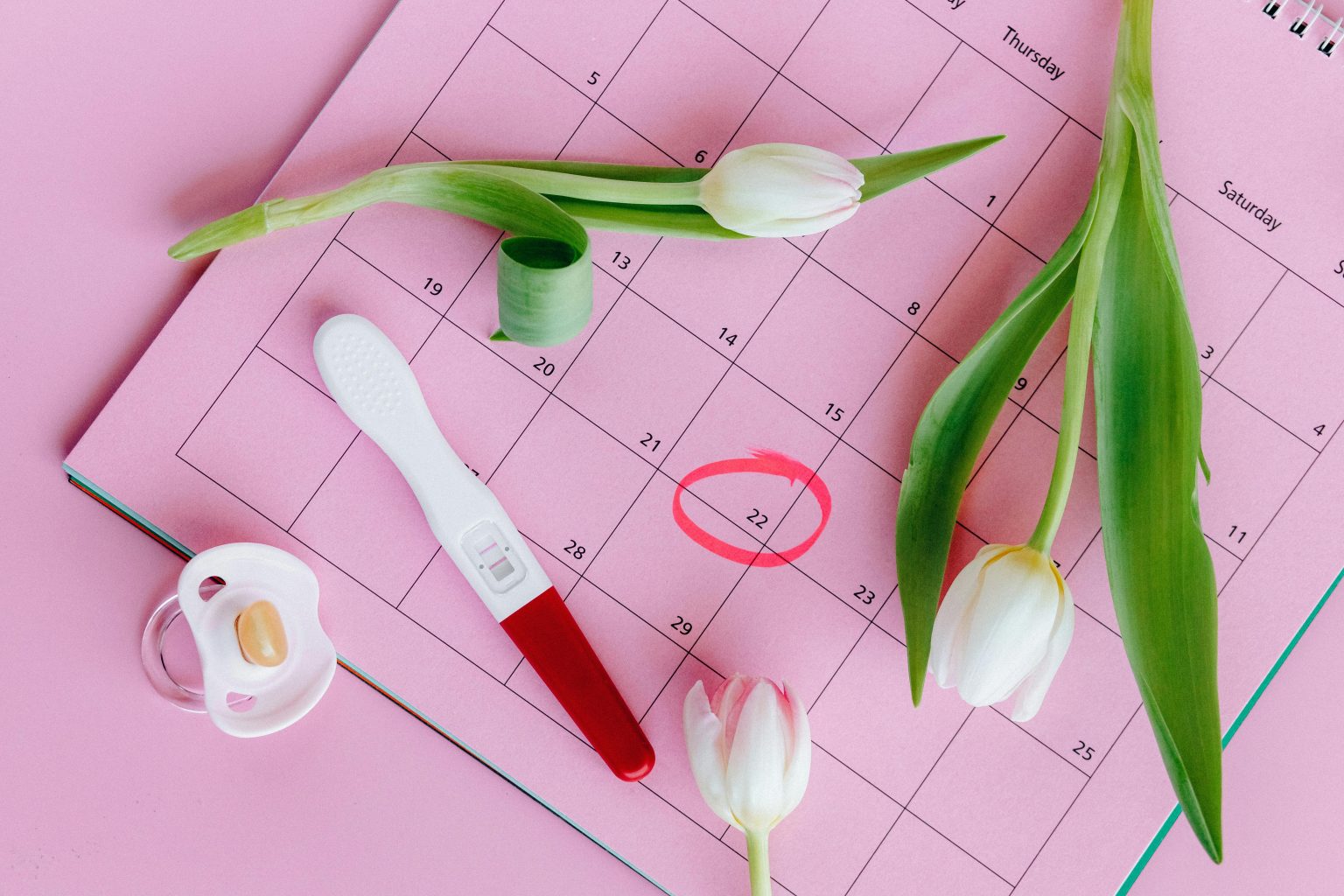 Arti Bunga Tulip Ungu: Makna dan Simbolisme yang Mendalam - ToteTime Blog